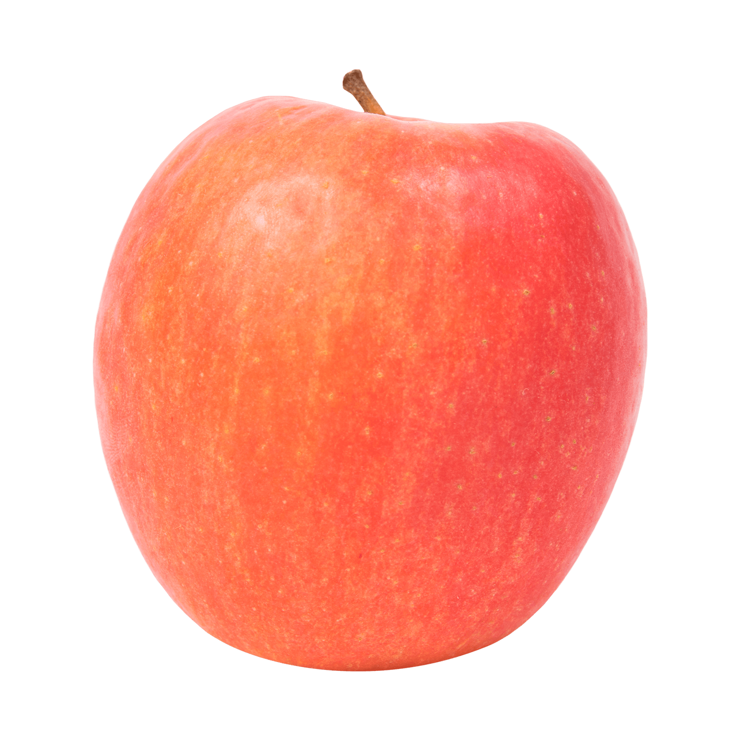The Ultimate Apple Pie – Yes! Apples